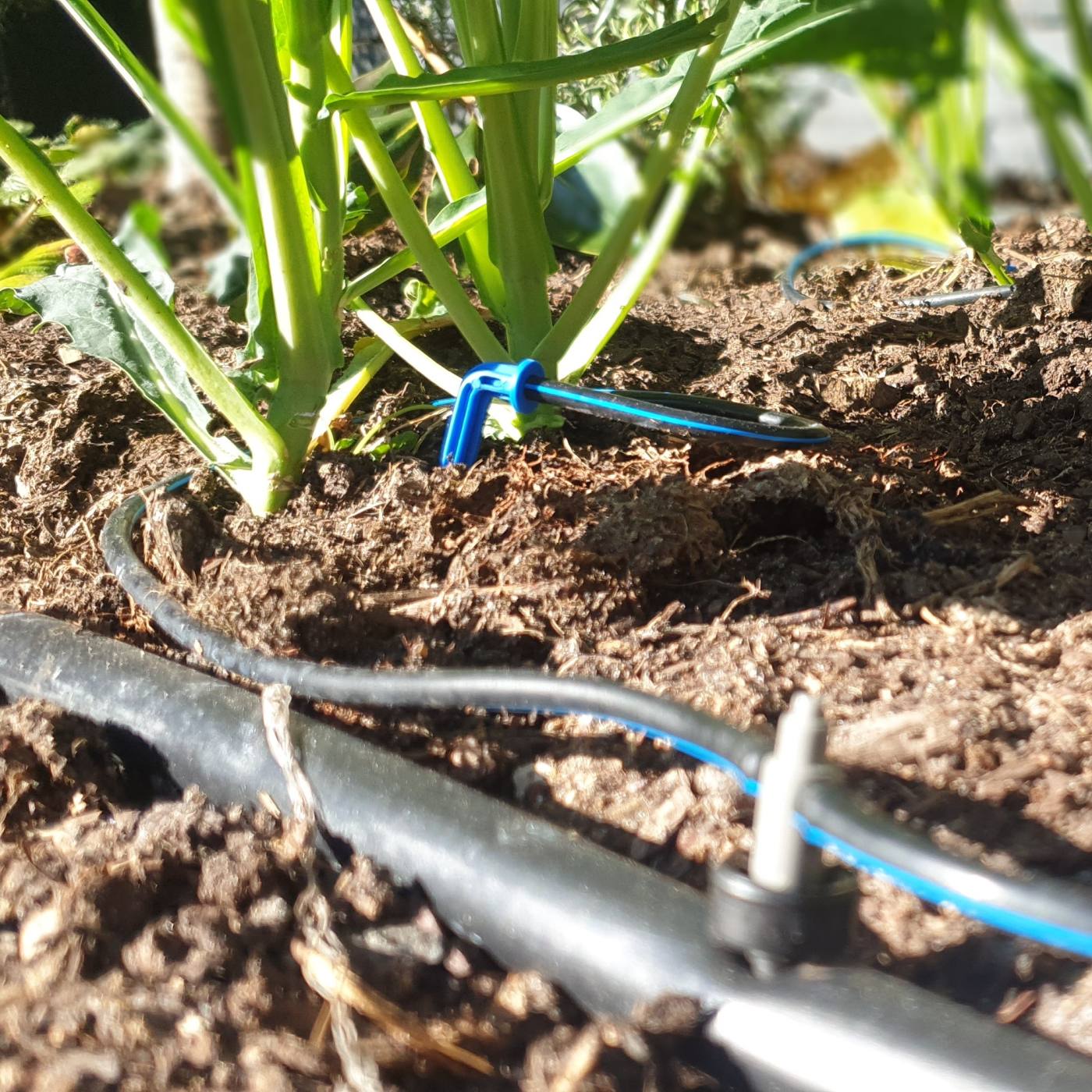 40 x PC Drippers & 30 x Twin Arrow Drippers with 25m Polytube Kit