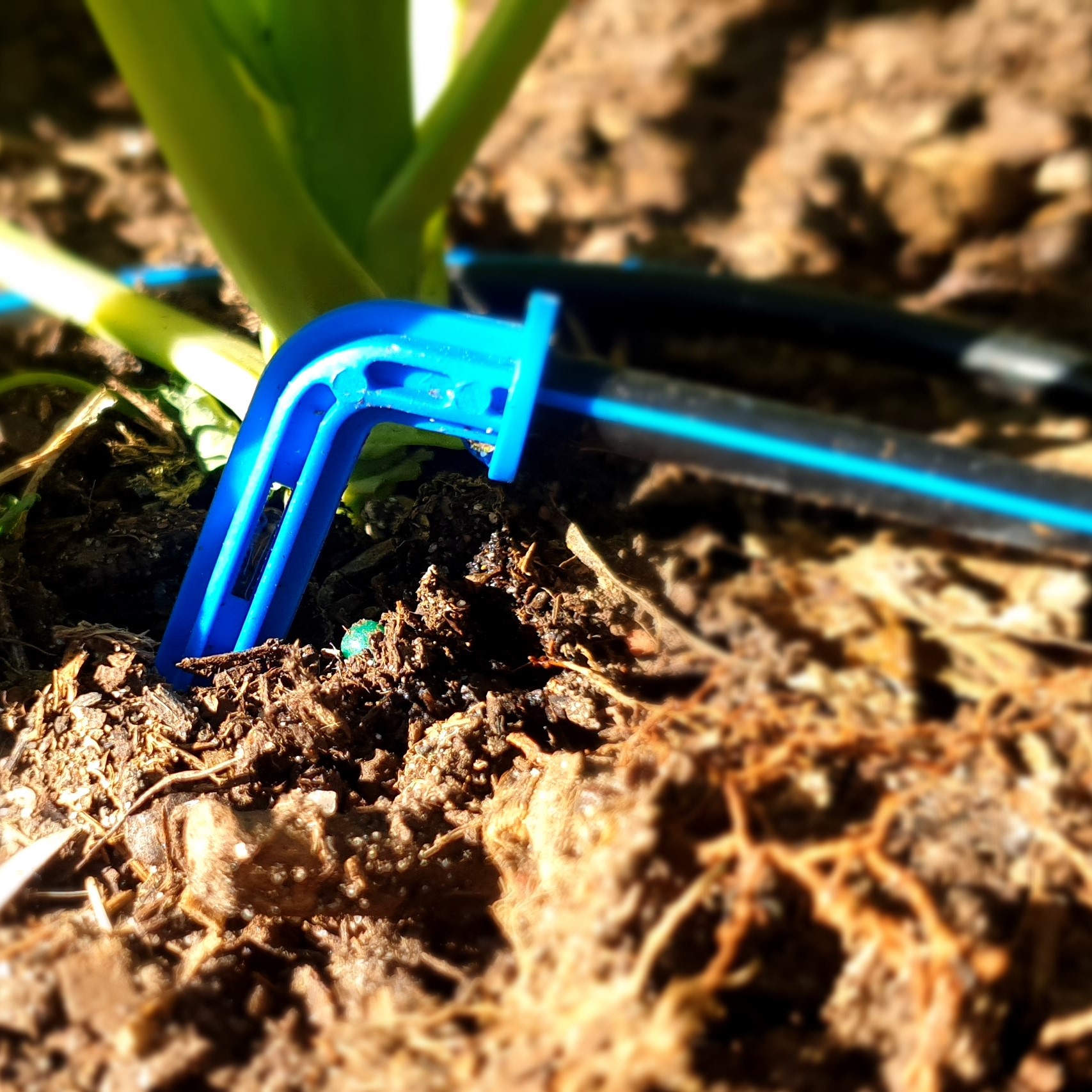 40 x PC Drippers & 30 x Twin Arrow Drippers with 25m Polytube Kit