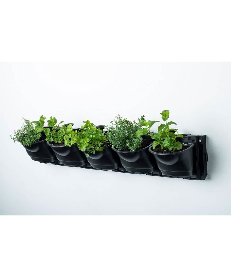 5 Tier Vertical Wall Garden Kit