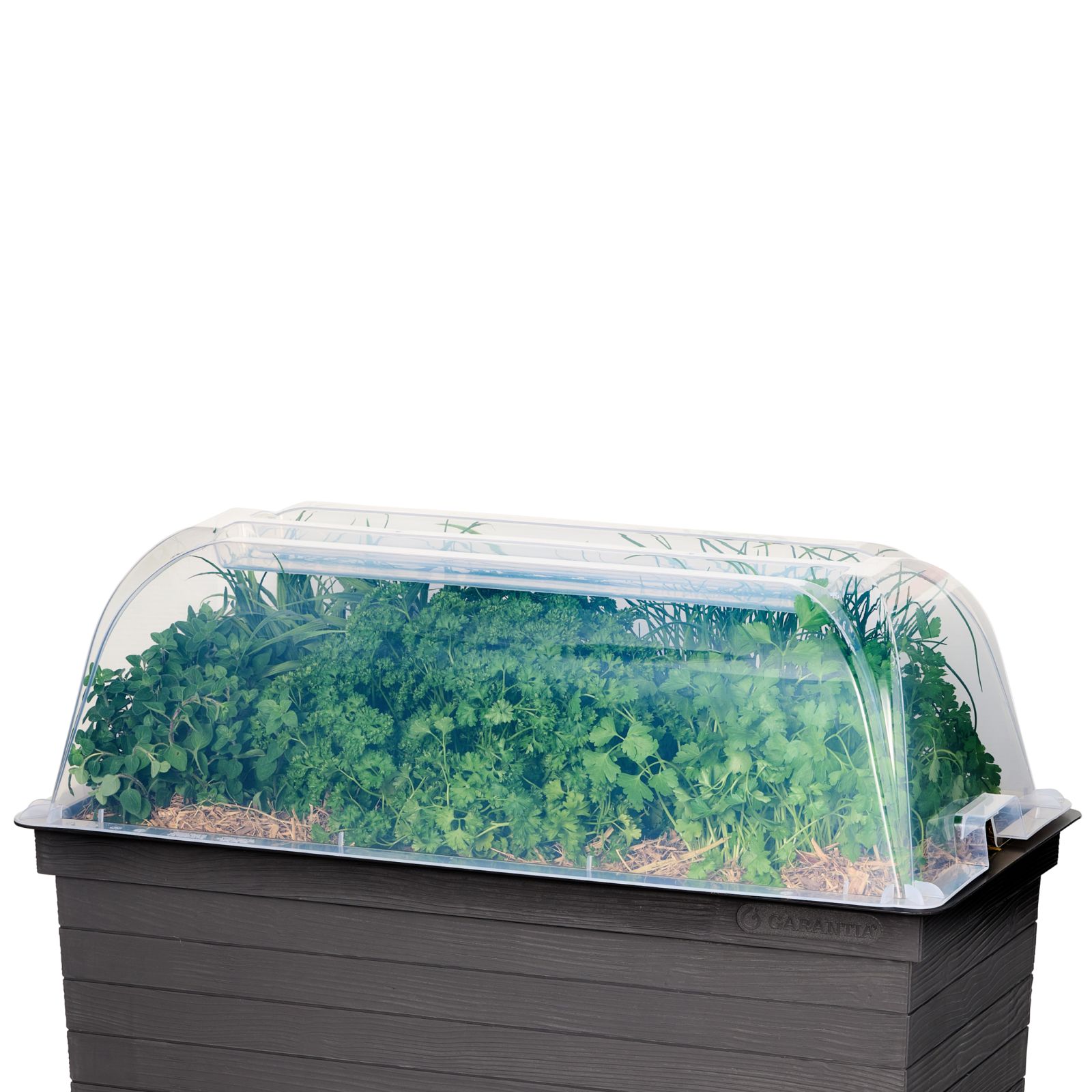 Cloche Cover for URBAN Raised Planter