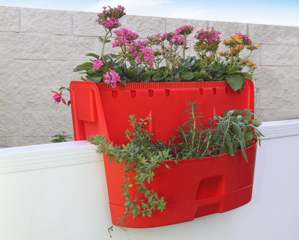 Kamelia Saddle Planter (Red)