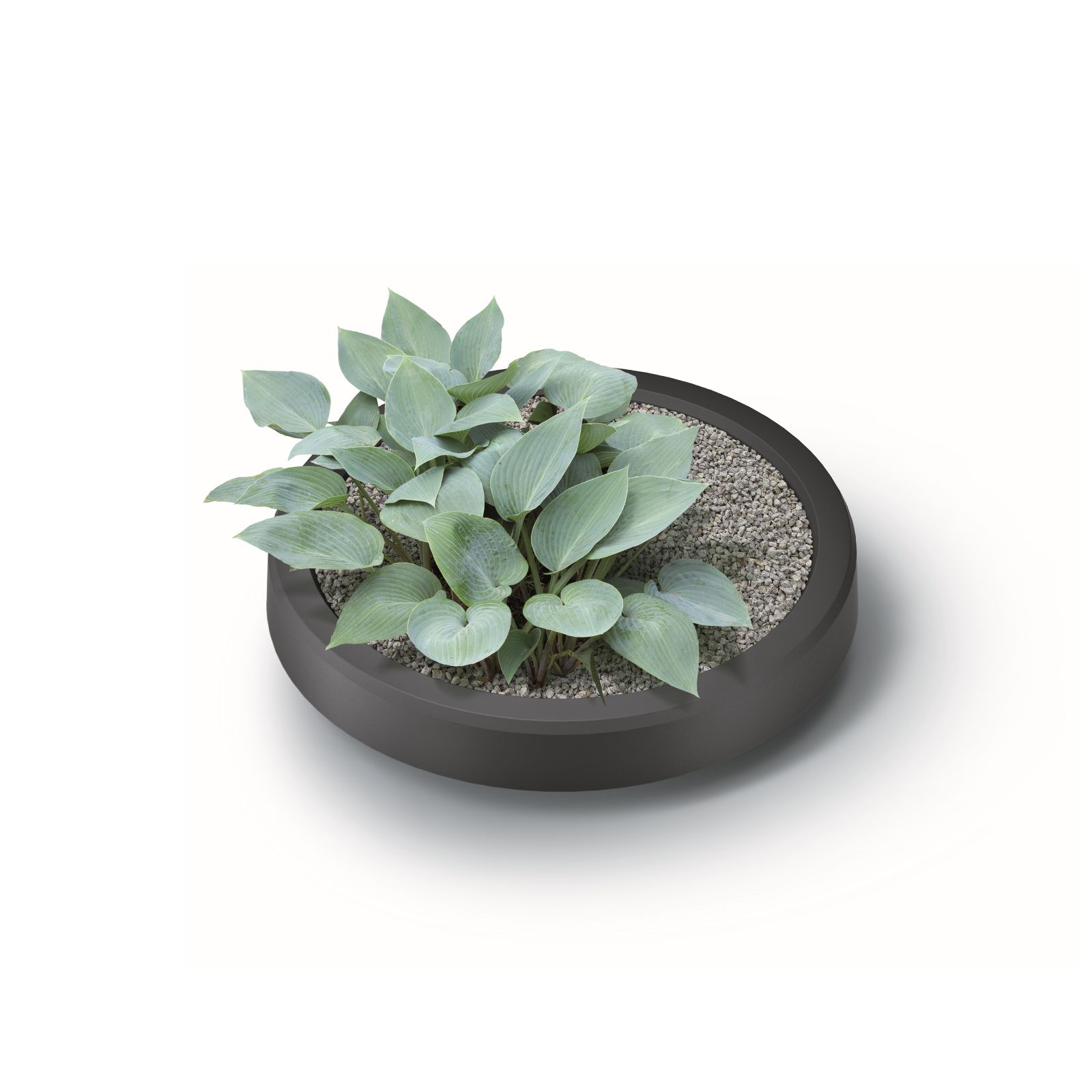 MAZE 240L Rainwater Tank