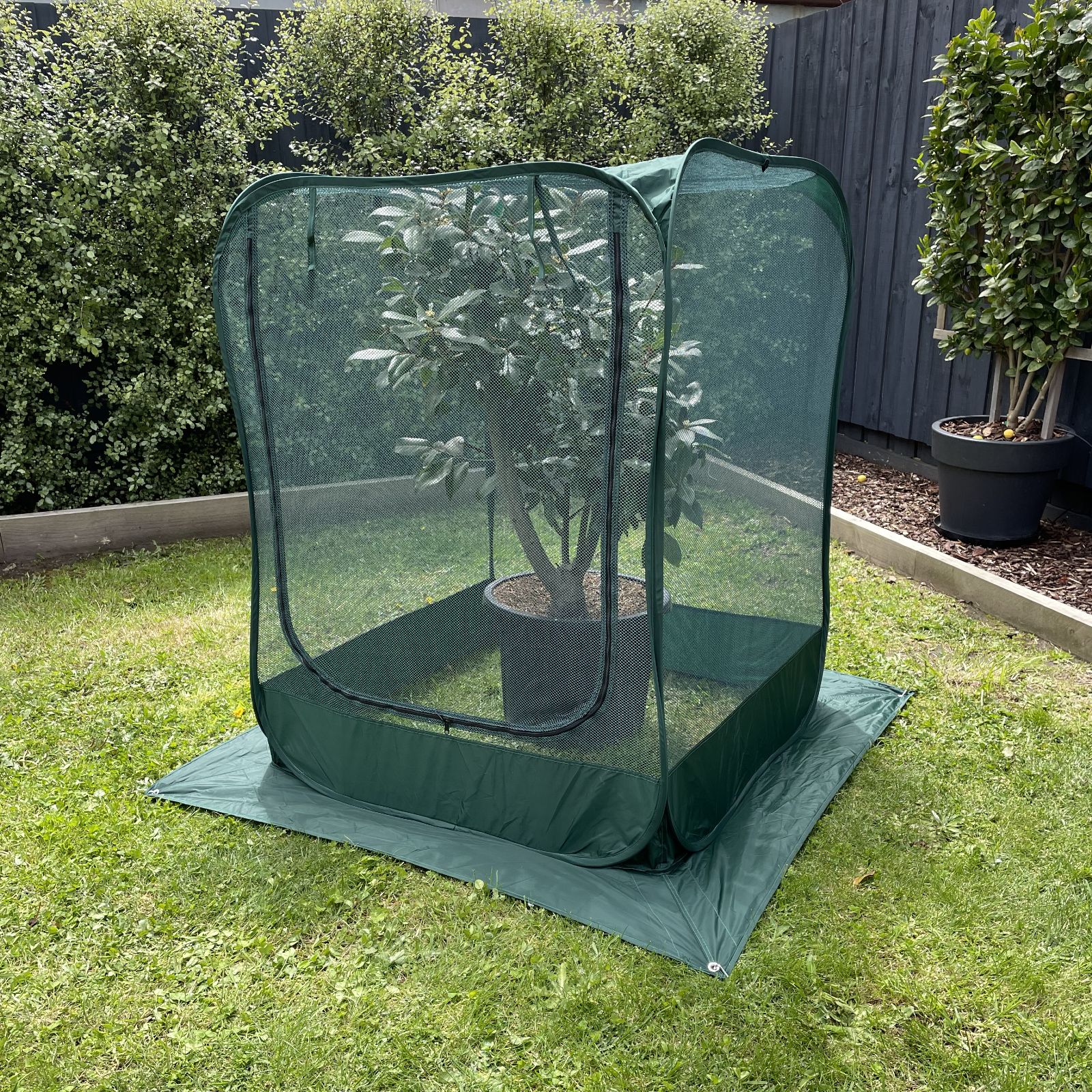 NET Garden Cover - 1m2 x 1.25m High