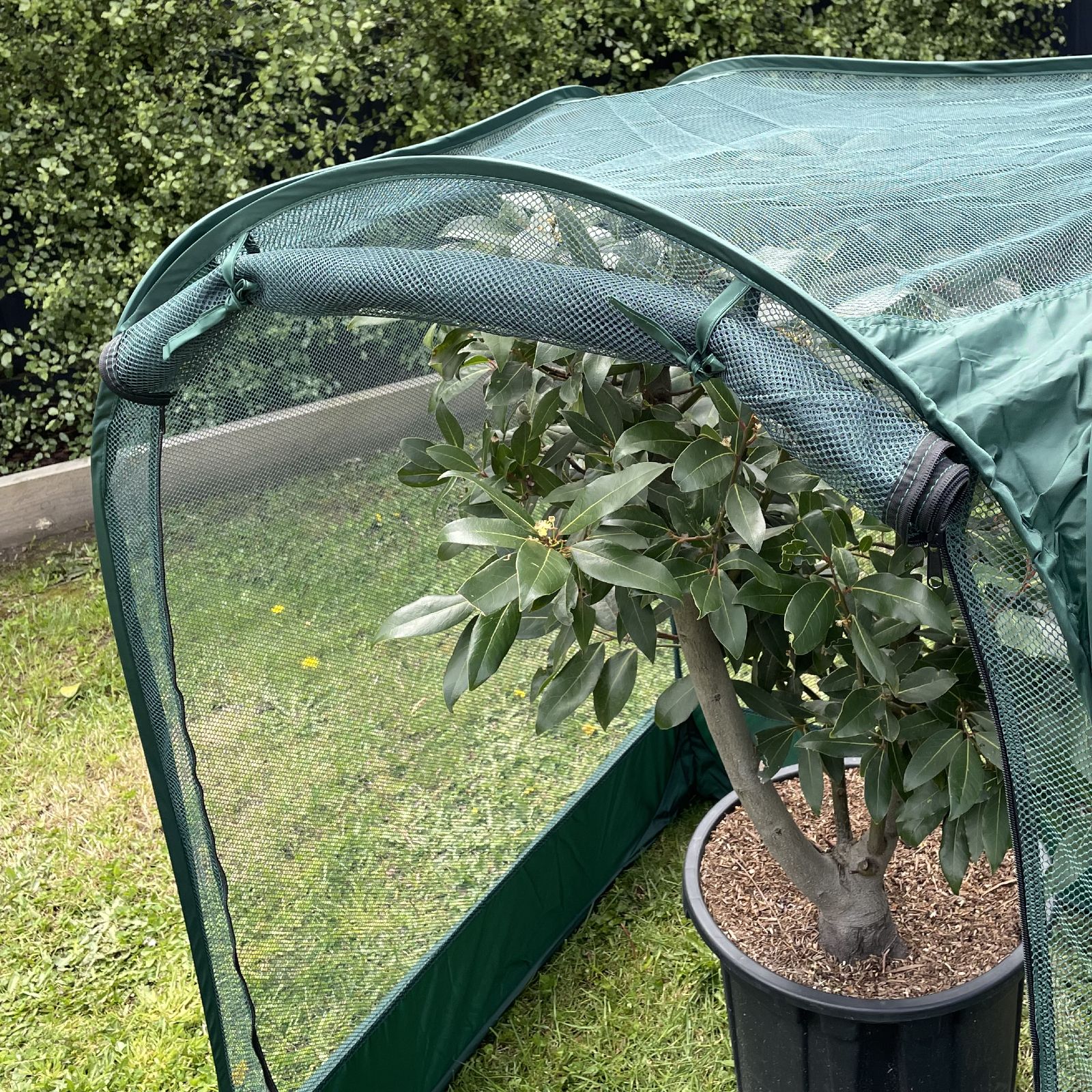NET Garden Cover - 1m2 x 1.25m High