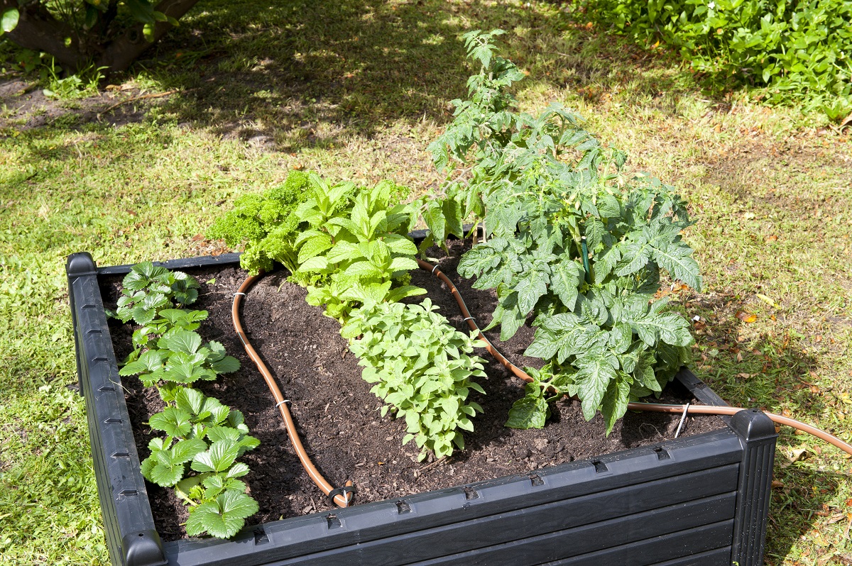 Ready 2 Drip Watering Kit