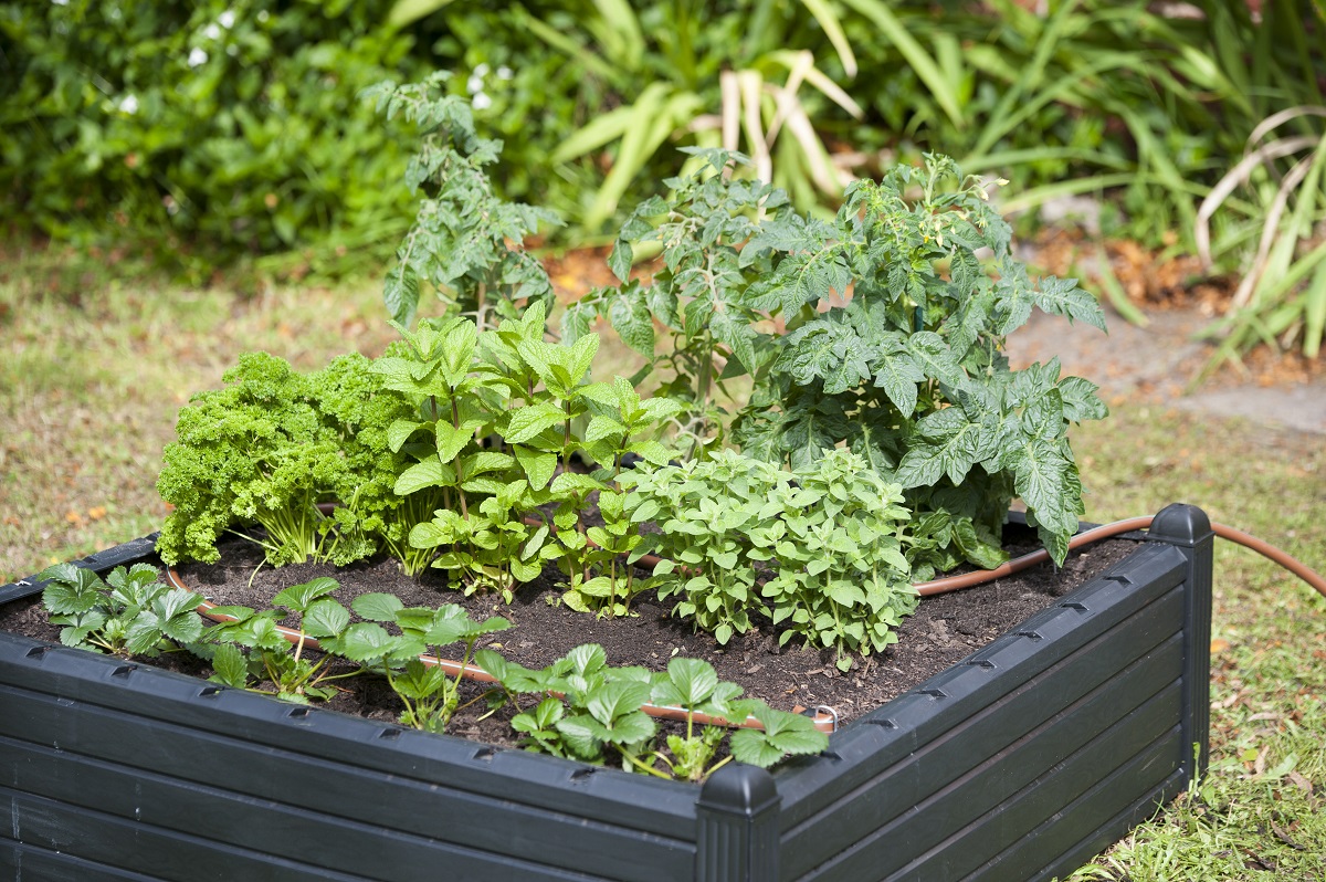 Ready 2 Drip Watering Kit