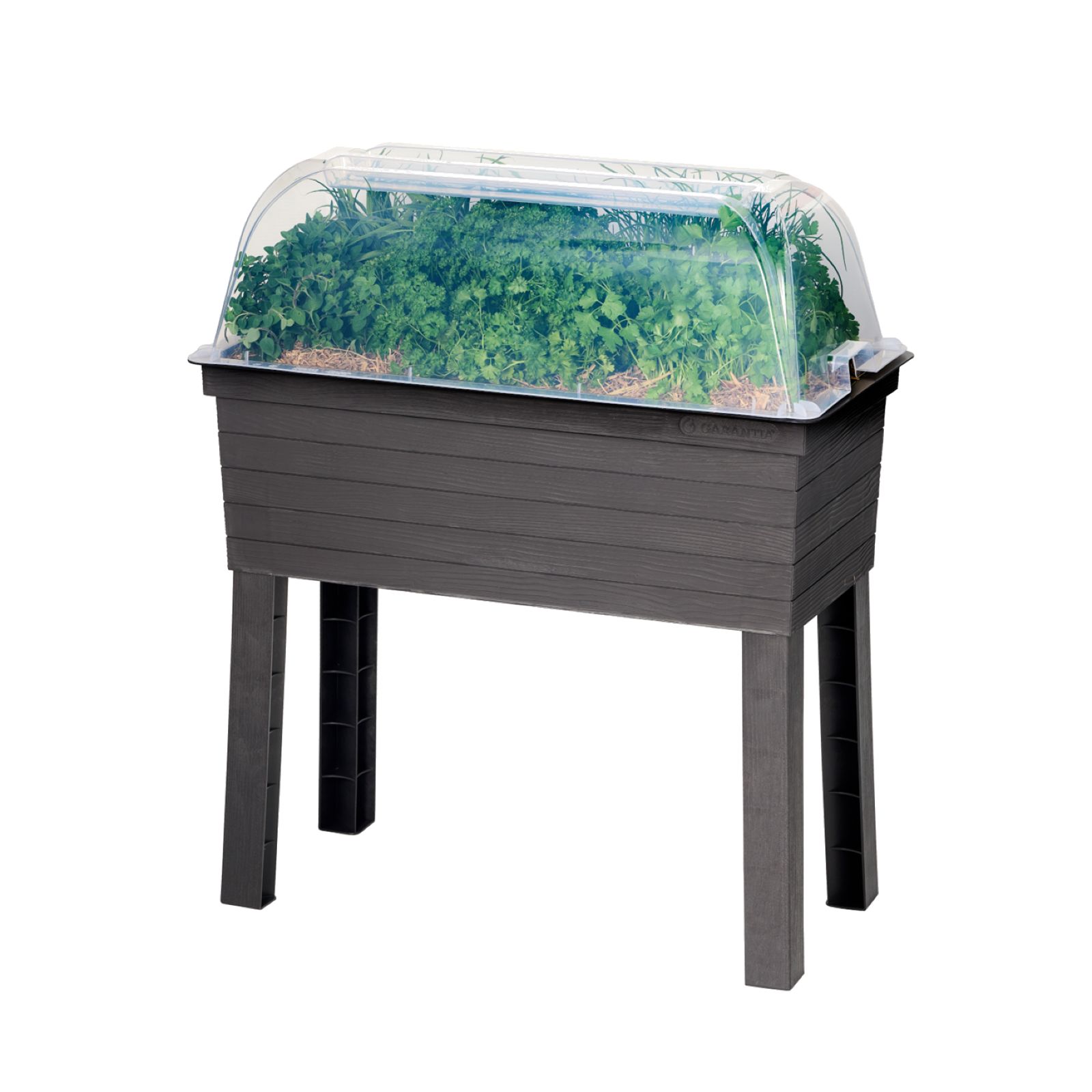 URBAN Raised Planter with Cloche Cover