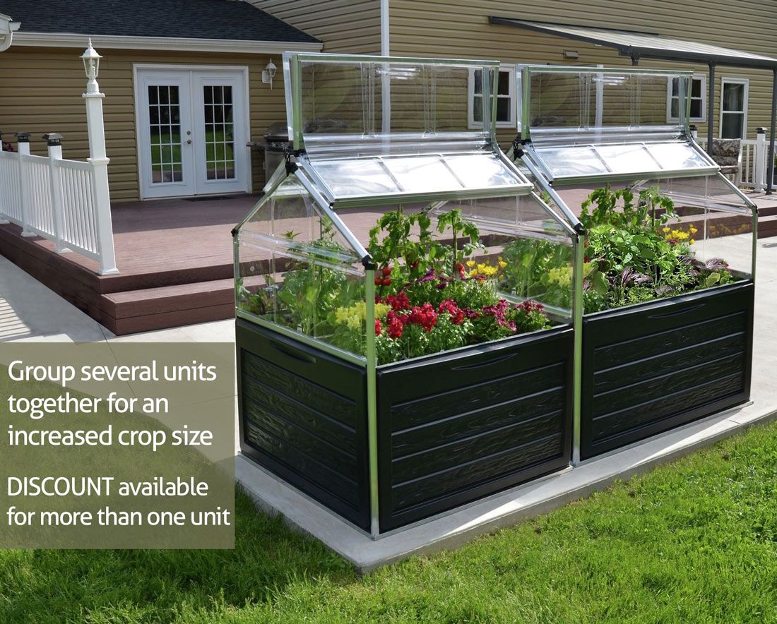 The PLANT INN - Mini Greenhouse - On SALE