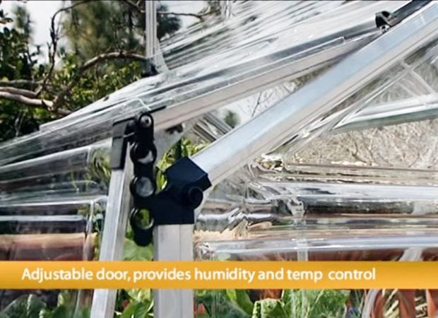 The PLANT INN - Mini Greenhouse - On SALE