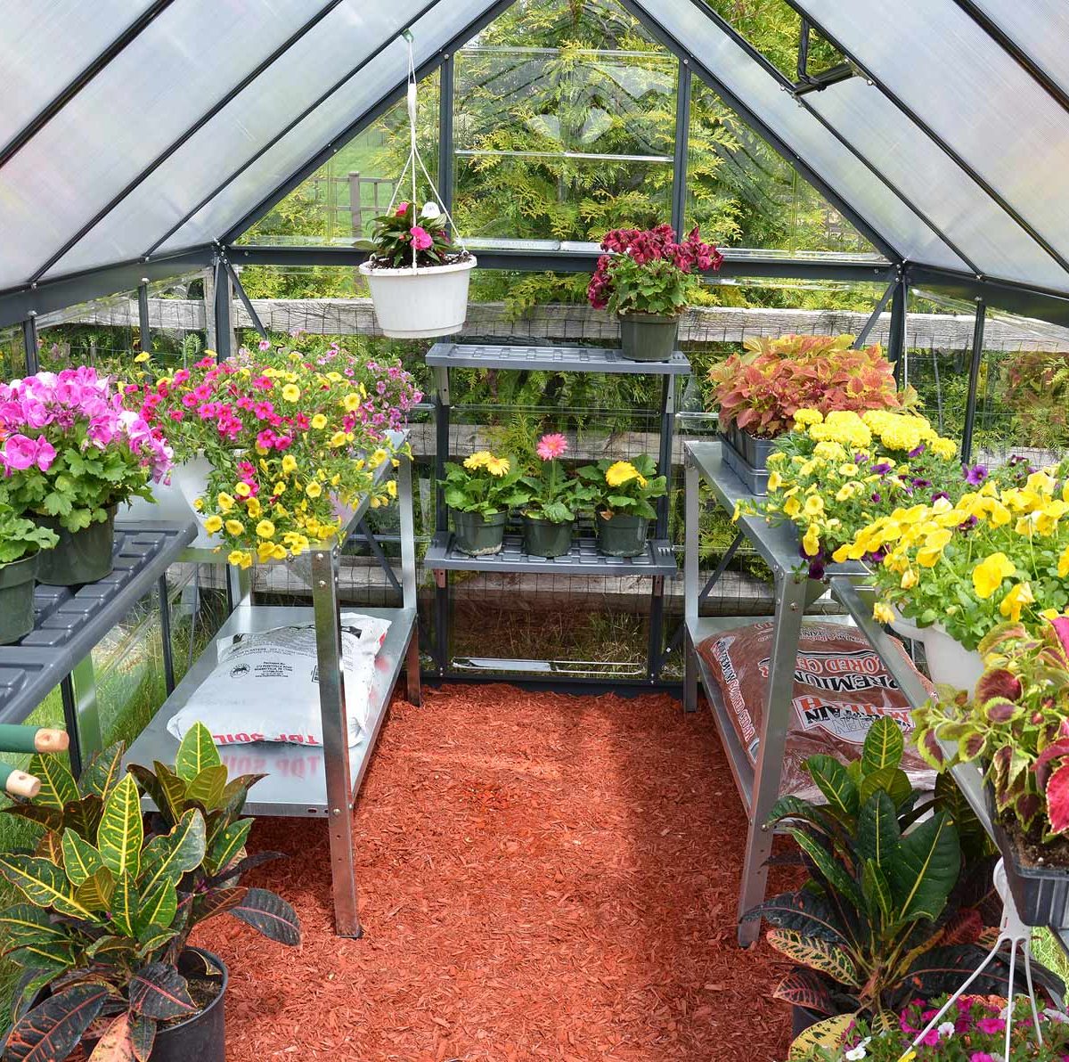 HYBRID 6'x10' GREY GREENHOUSE