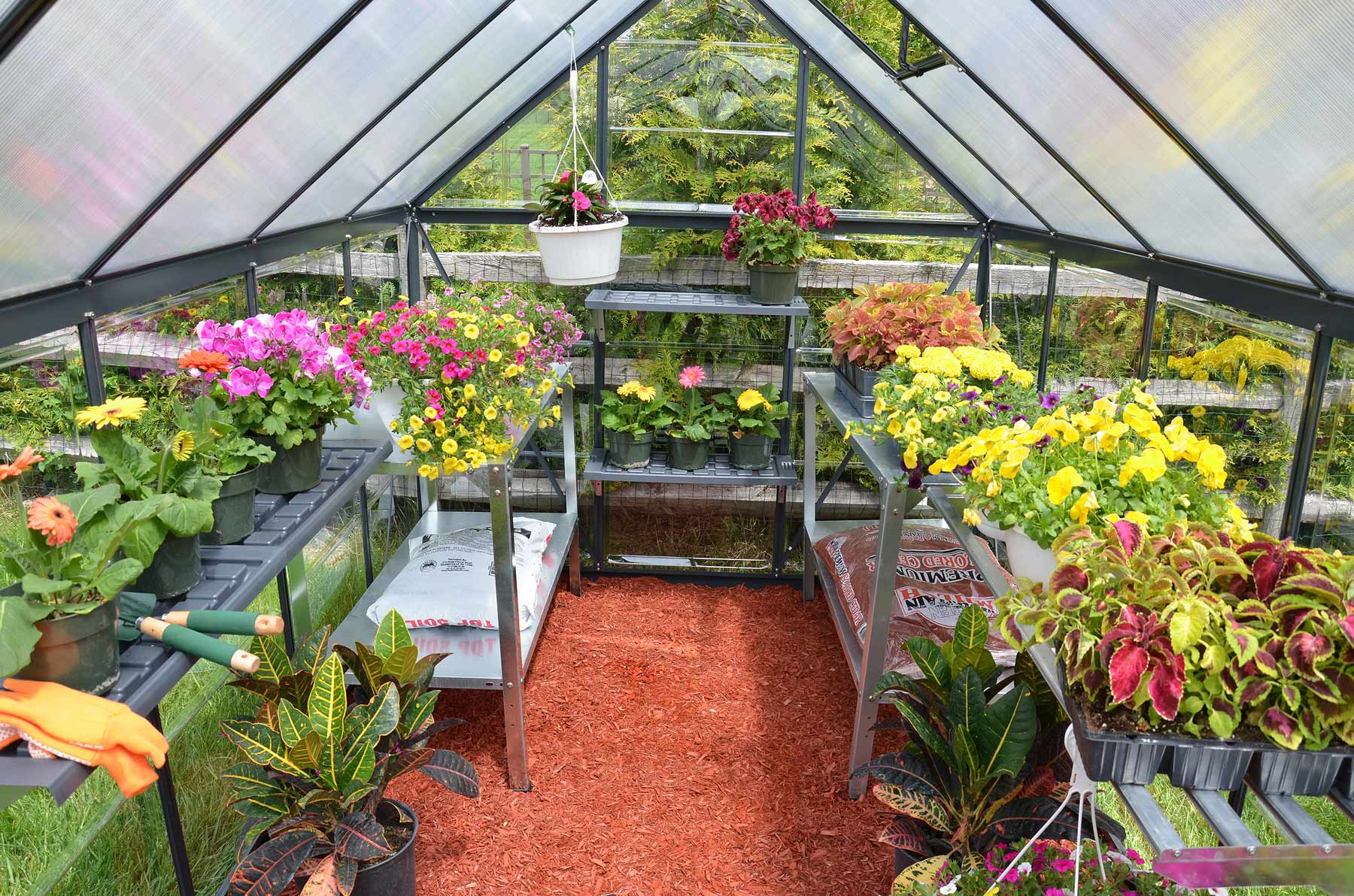 HYBRID 6'x8' GREY GREENHOUSE