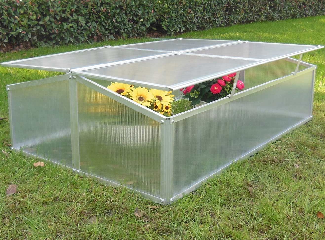 SILVER LINE DOUBLE COLD FRAME