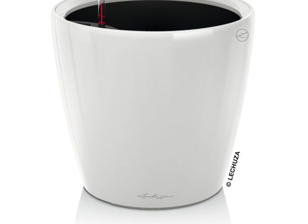 CLASSICO LS 50 Premium