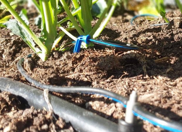 40 x PC Drippers & 30 x Twin Arrow Drippers with 25m Polytube Kit