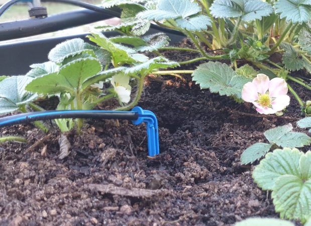 40 x PC Drippers & 30 x Twin Arrow Drippers with 25m Polytube Kit