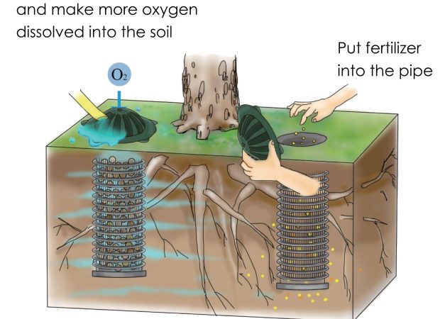 Root Watering System