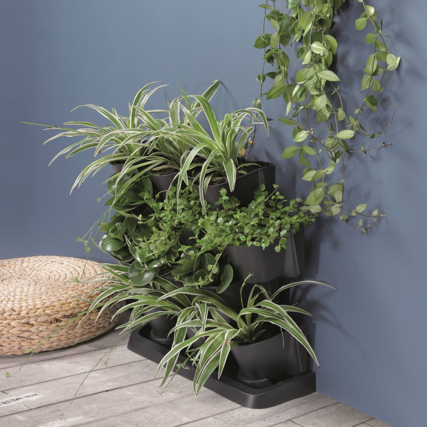 Vertical Garden CASCADE