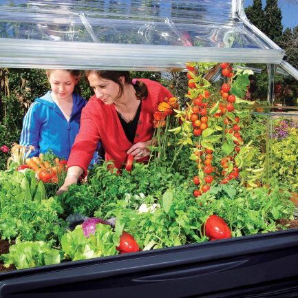 The PLANT INN - Mini Greenhouse - On SALE