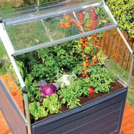 The PLANT INN - Mini Greenhouse - On SALE