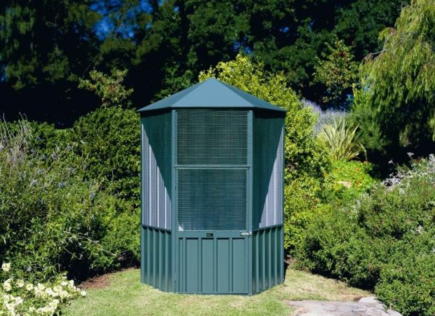 SHED2GO Hexagonal Aviary Color