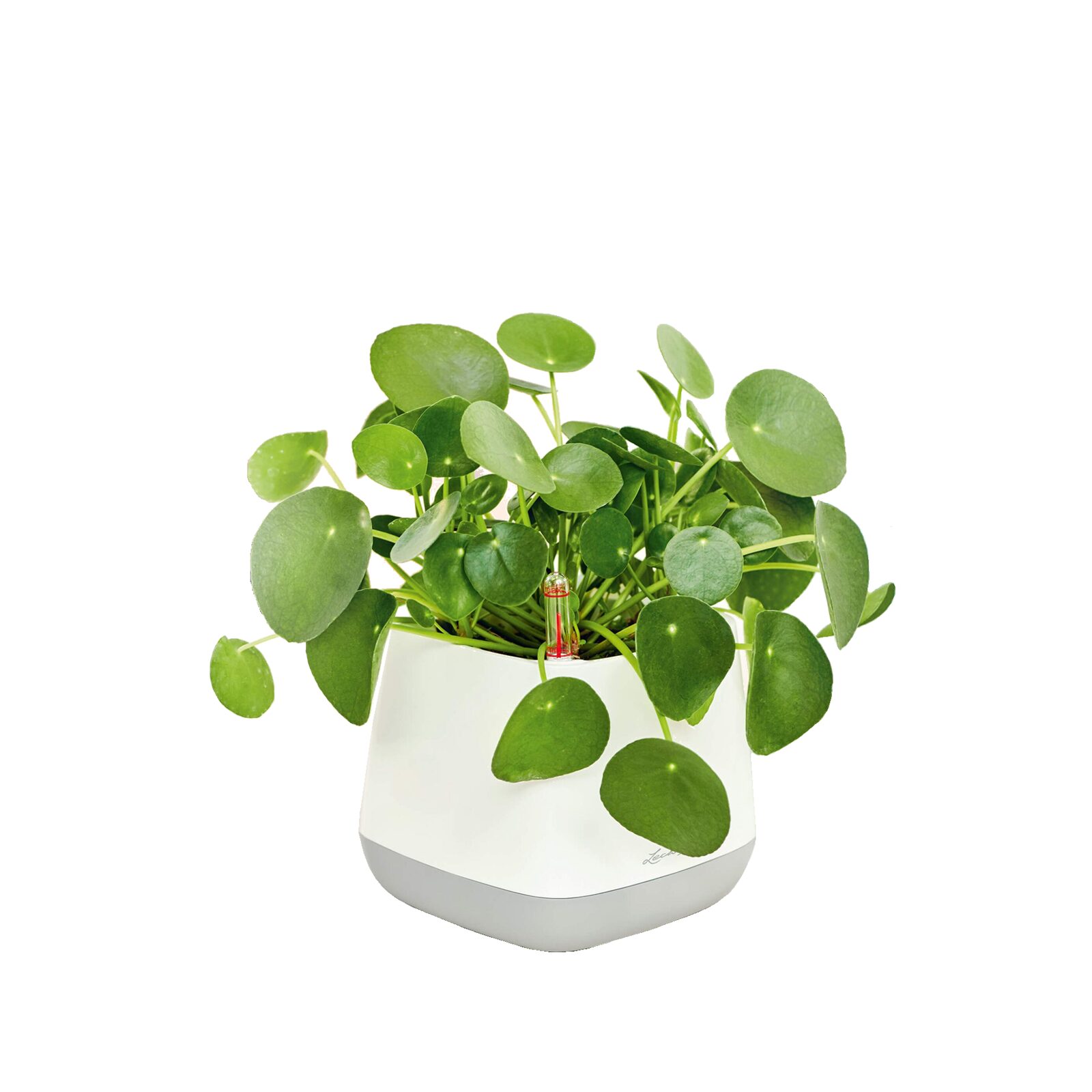 YULA Planter